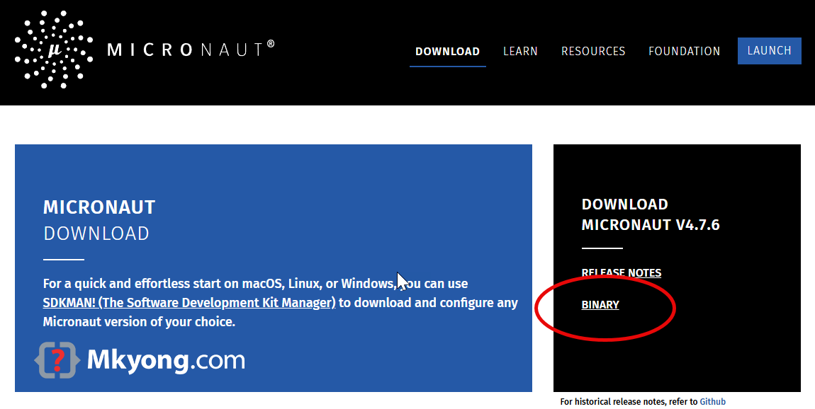 How to install Micronaut CLI - Mkyong.com